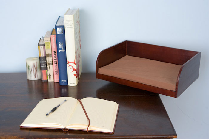 Kit-In Box - Desktop Cat Bed | The Green Head