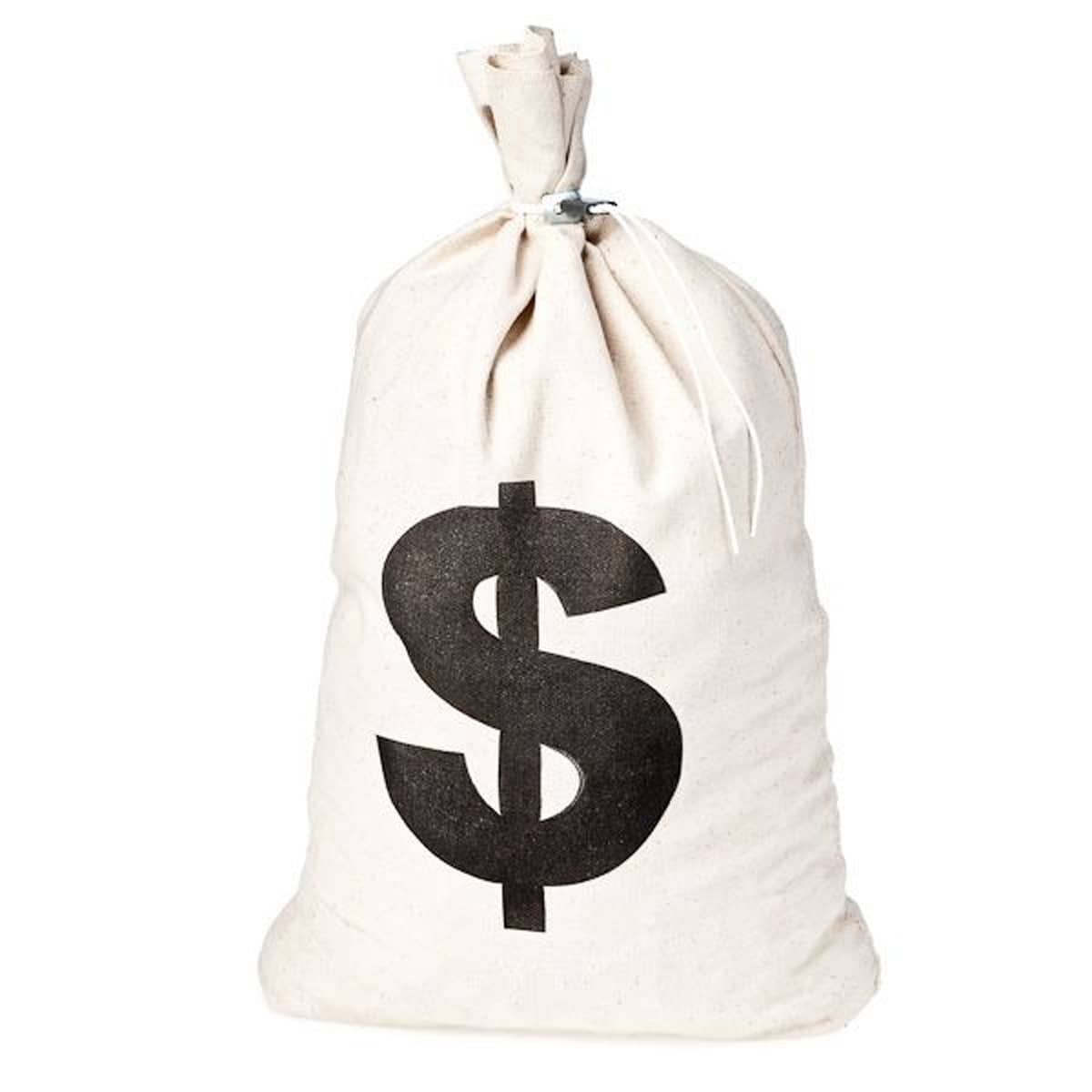 Dollar Sign Money Bags Earn Money Online Surveys Europe