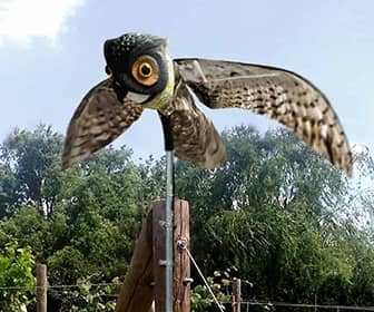 Browse: Gear | Page 1 | TheGreenhead.com