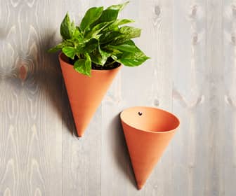 Cone-Shaped Terracotta Wall Pots | The Green Head