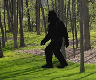 Gigantic 7 Foot Tall Bigfoot Silhouette Yard Display | The Green Head