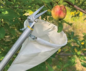 High-Reach Telescoping Apple / Fruit Picker Tool | The Green Head
