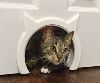 Hanging Cat Cuddle Pod | The Green Head