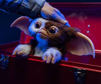 Life-Sized Gremlins Gizmo / Mogwai Prop Replica | The Green Head