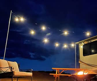 Faux Wasp Nest - All-Natural Wasp Deterrent | The Green Head