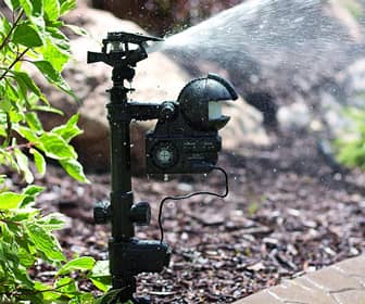 Motion Sensing Owl - Bird And Pest Control | The Green Head