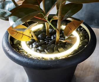 Planter Ring Light - Dramatic Plant Uplighting | The Green Head