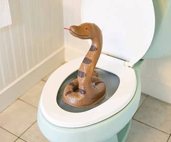 Browse: Leisure / Pranks | Page 1 | TheGreenhead.com