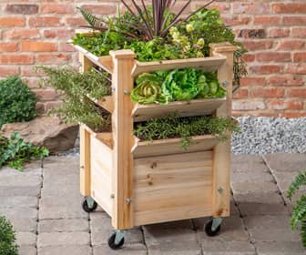 Super-Size Topsy-Turvy Upside-Down Tomato Tree | The Green Head