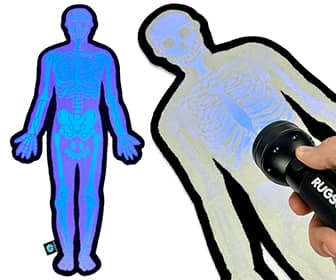 The Green Head | Browse: Living | Page 1