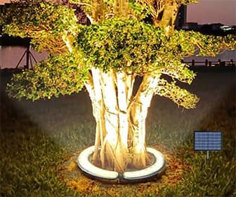 Solar-Powered LED Outdoor Tree Uplight Ring | The Green Head