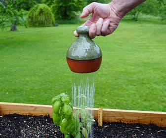 Twist and Spout - Instant Watering Can | TheGreenHead.com