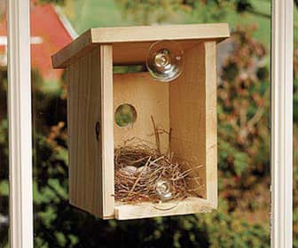 Window View Bird Nest Box | The Green Head