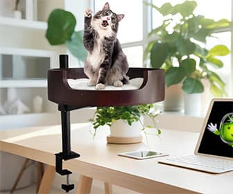 Wooden Desktop Cat Bed | The Green Head