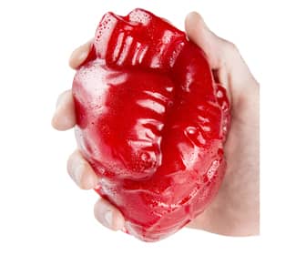 Lightning Bugs Illuminated Gummy Candy | The Green Head