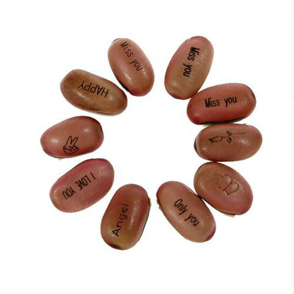 Magic Beans That Sprout With Secret Messages magic-beans-that-sprout-with-secret-messages
