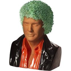 Stang! The World's Most Sour Soda | The Green Head