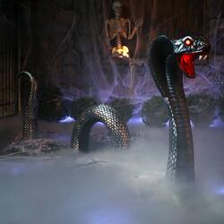 Conch Seashell Serving Bowl