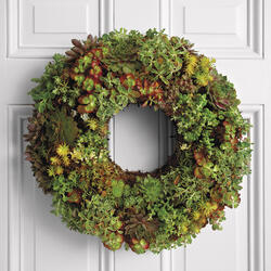 Blitz Box - Portable Storage Box / Shelf | The Green Head