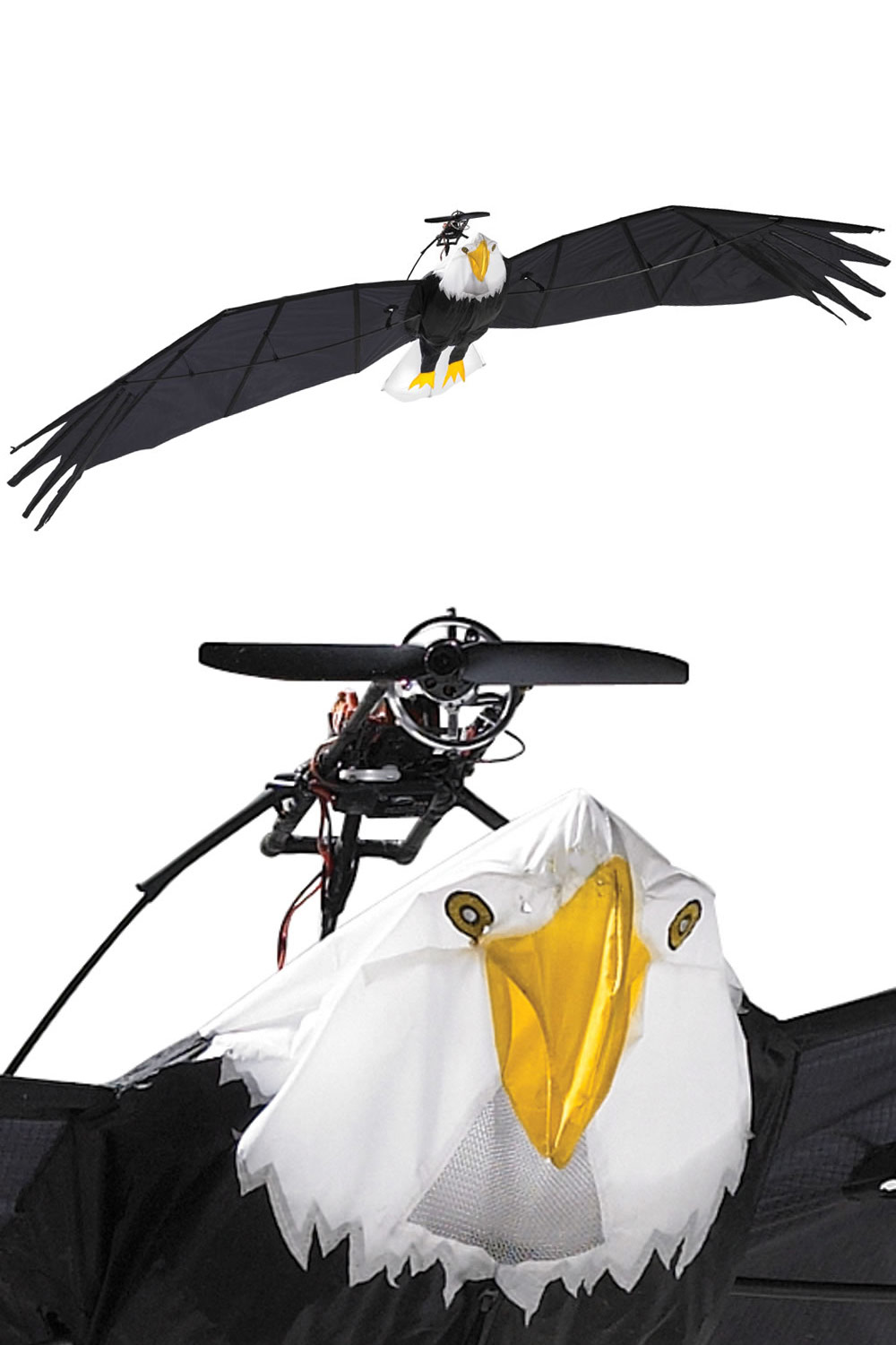 Gigantic Remote Controlled Bald Eagle