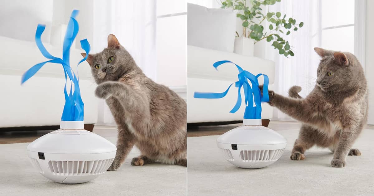 Air Cat - Interactive Air Streamer Cat Toy | The Green Head