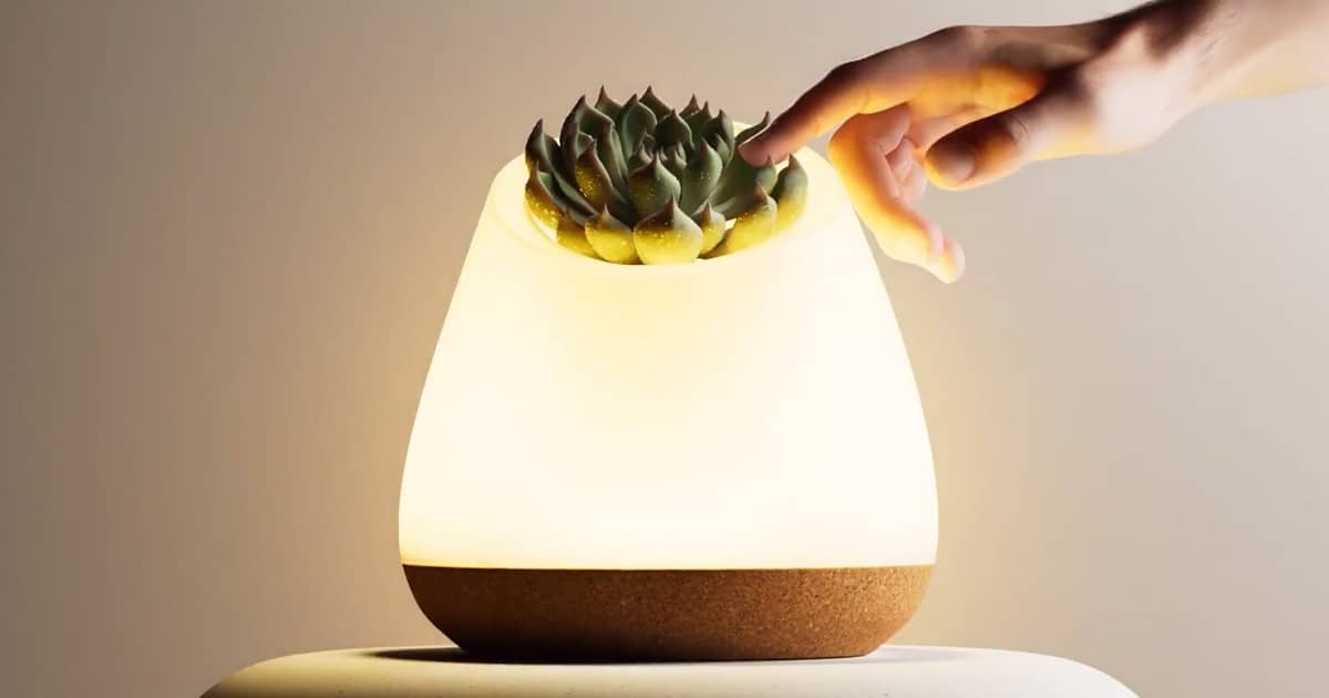 Bioo Lux Planter Lamp - Touch the Leaves to Turn it On/Off | The Green Head