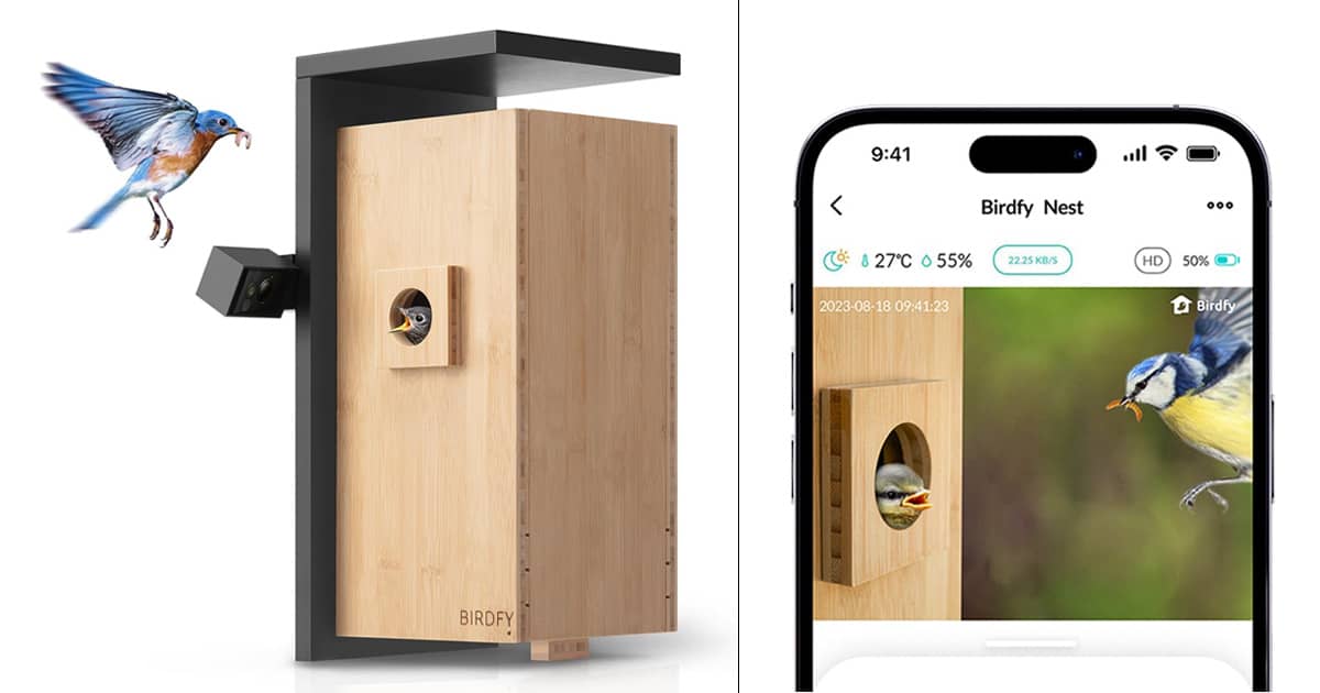 Birdfy Nest - Bamboo Smart Birdhouse w/ Dual Cameras and A.I. Identify ...