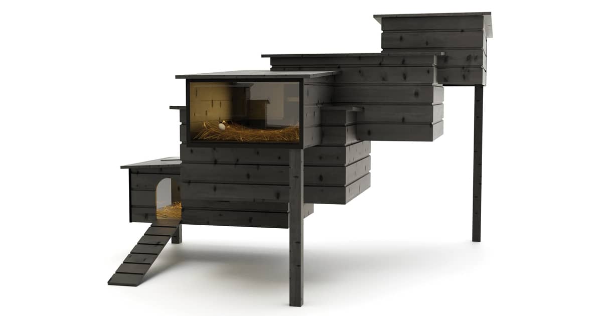 Breed Retreat - Luxurious Modern Hen House | The Green Head