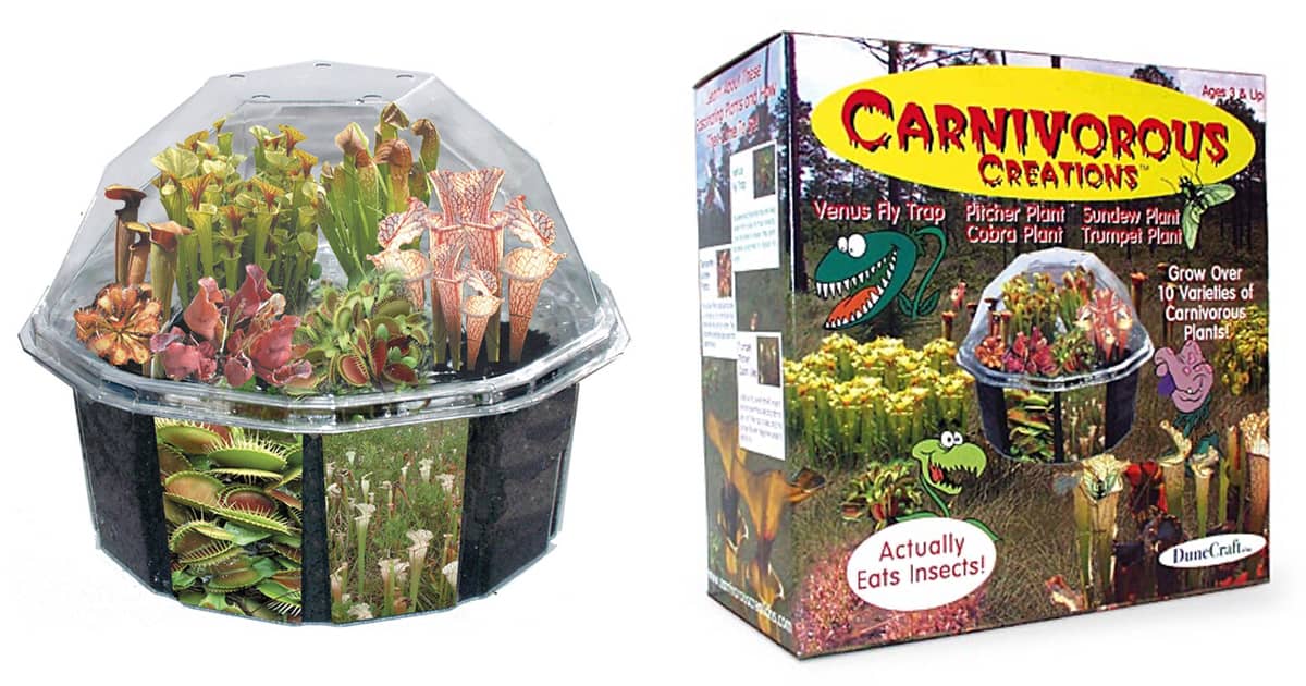 Carnivorous Creations - The World's Most Fearsome Meat Eating Plants ...