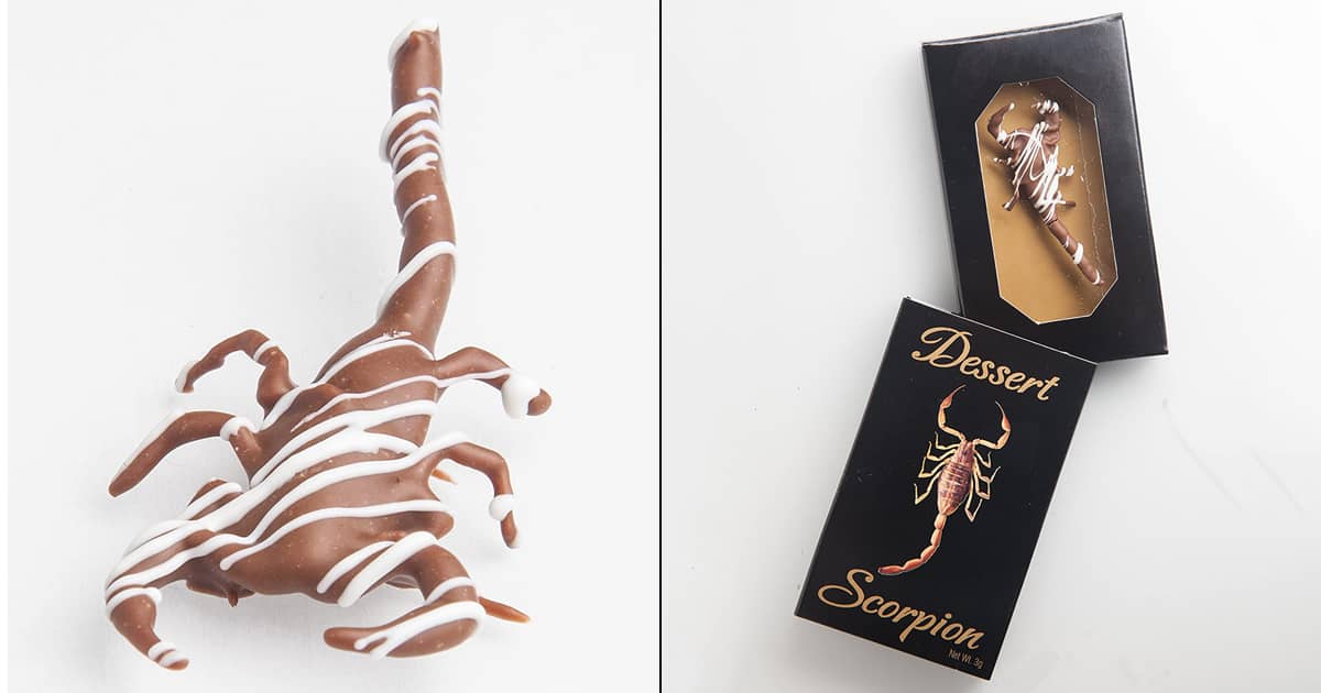 Chocolate Covered Scorpions