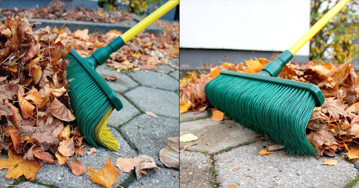 Claw Broom - Curved Bristle Push and Pull Broom / Rake | The Green Head