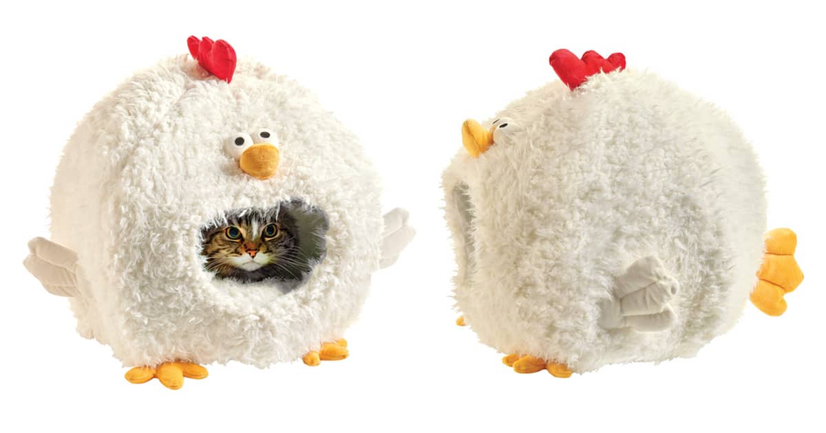Comfy Chicken Cat Cave | The Green Head