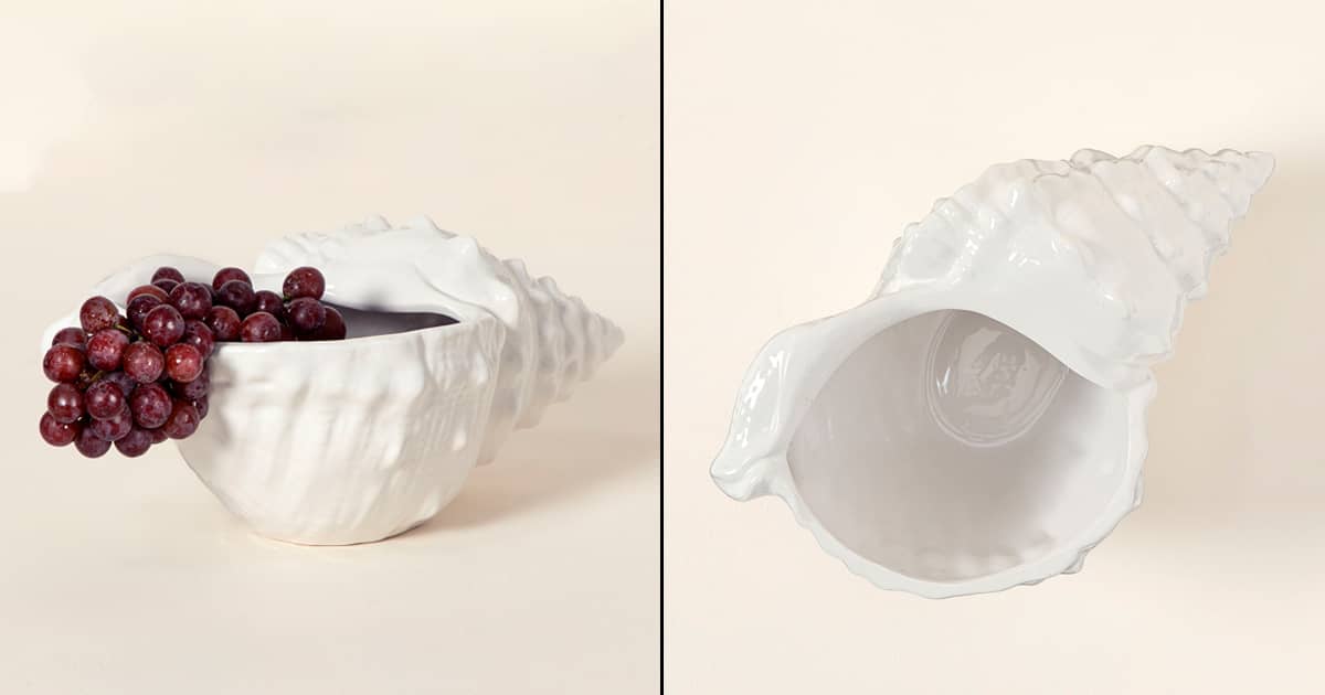 Conch Seashell Serving Bowl | The Green Head