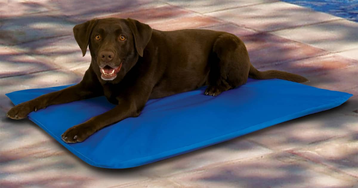 Cool Bed III - Instant Cooling Dog Mat | The Green Head