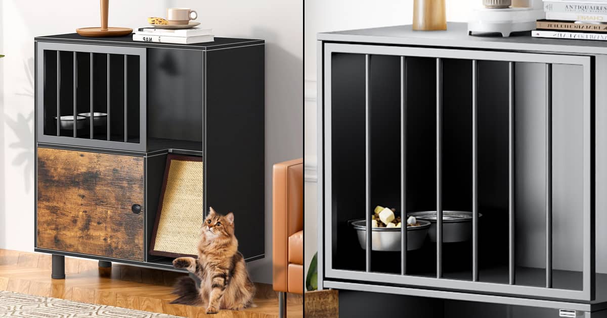 Dog-Proof Cat Feeding Station | The Green Head