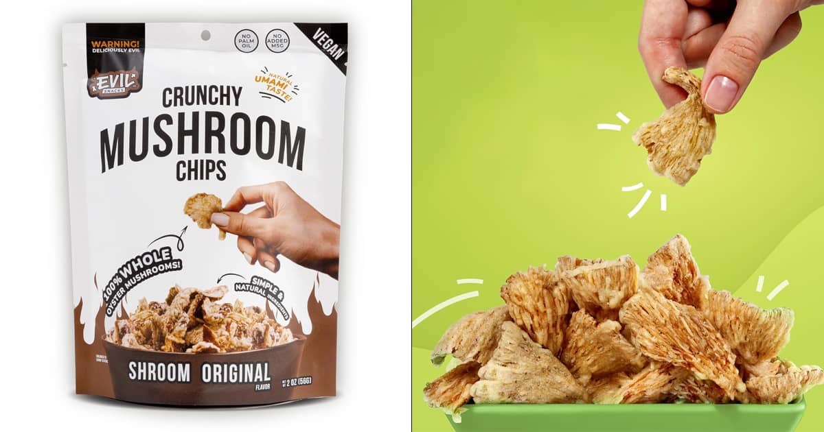Evil Snacks Organic Crunchy Mushroom Chips | The Green Head