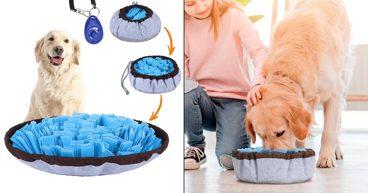 Friendly Barkz Snuffle Feeding Mat for Dogs and Cats | The Green Head