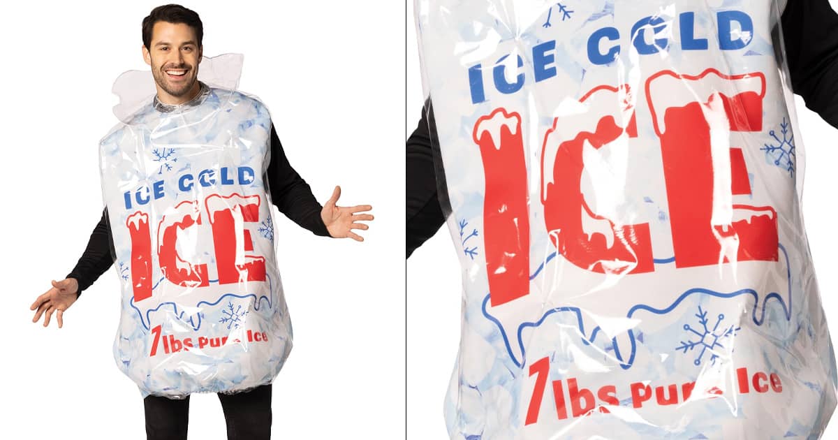 Giant Bag of Ice Costume | The Green Head