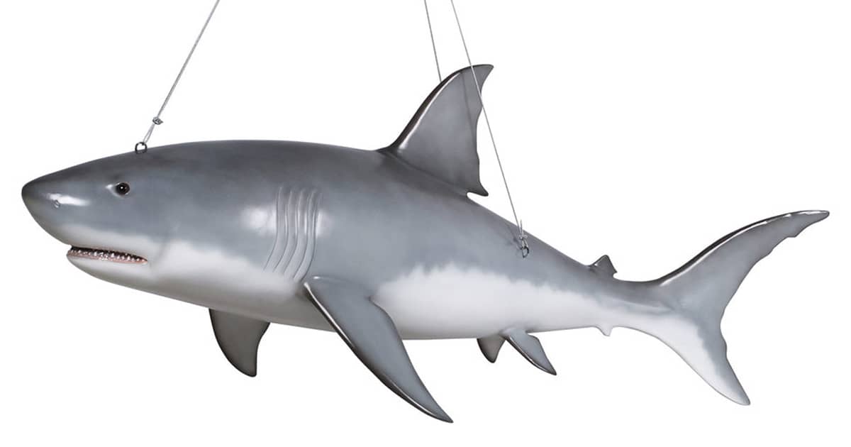 Giant Great White Shark Ceiling Mount Statue | The Green Head