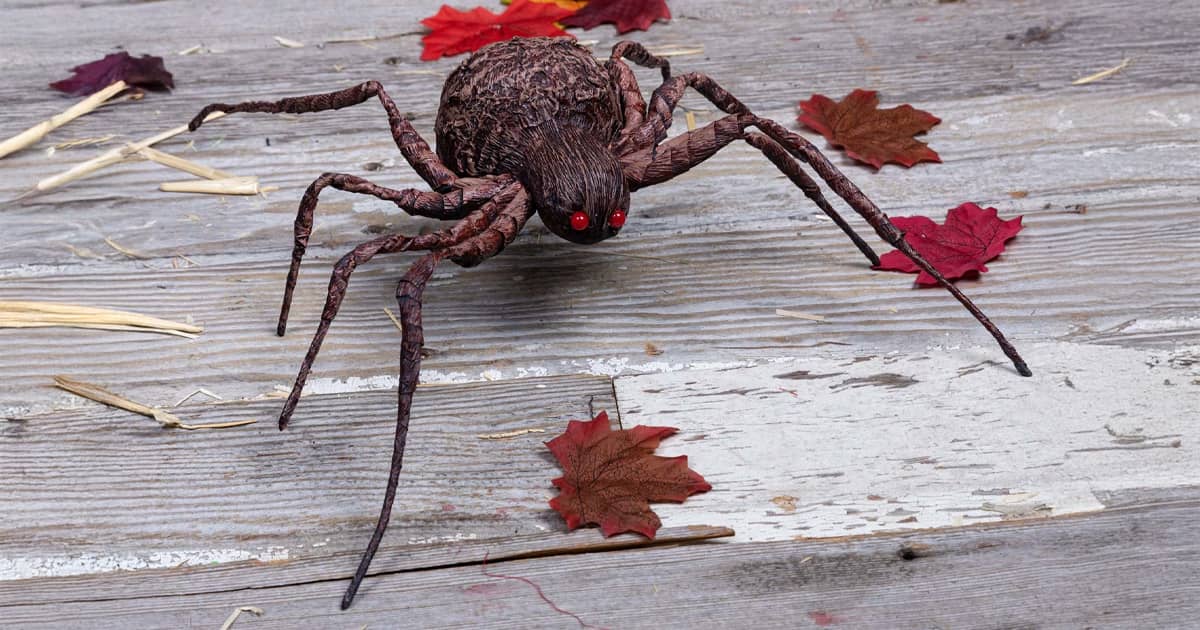 Giant Grotesque Spider Prop | The Green Head