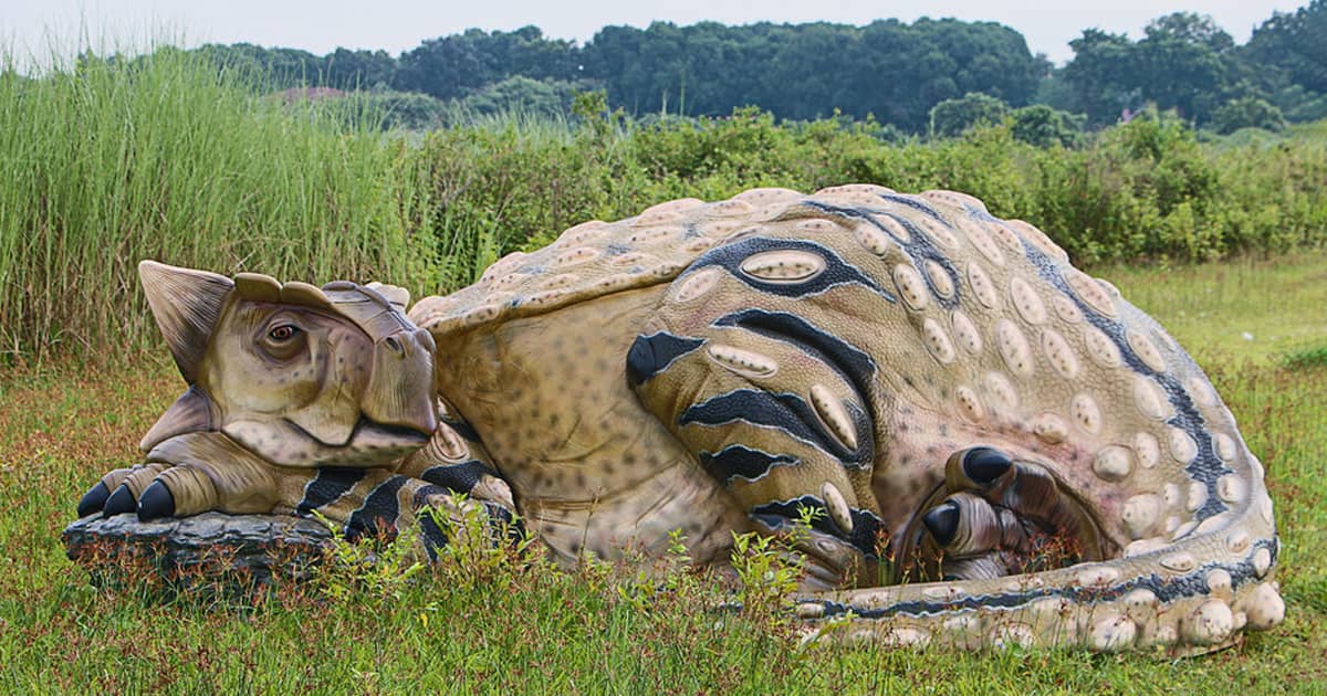 Giant Resting Ankylosaurus Dinosaur Statue | The Green Head