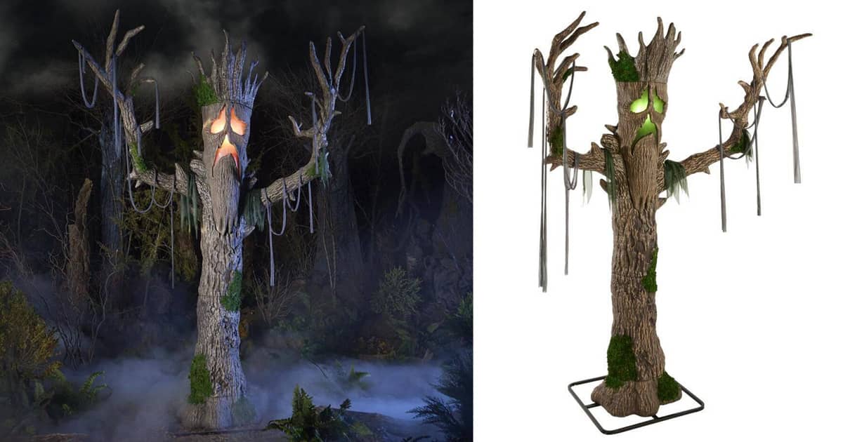 Gigantic 9-Ft Horrifying Hickory Tree | The Green Head