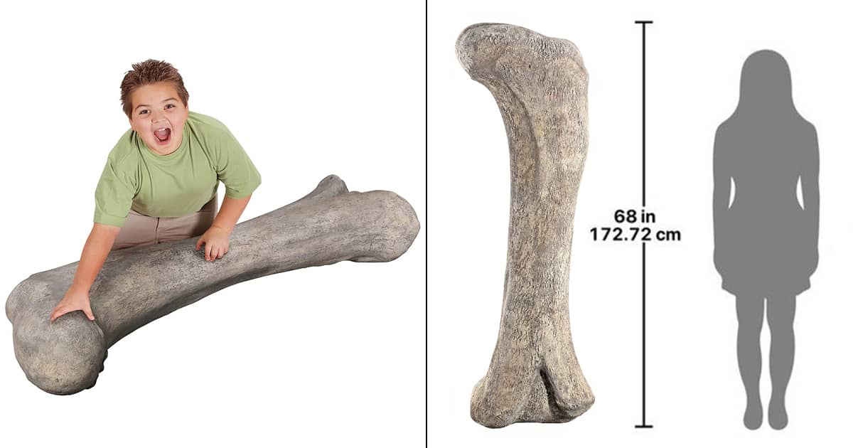 Gigantic Apatosaurus Dinosaur Femur Bone Fossil Statue | The Green Head