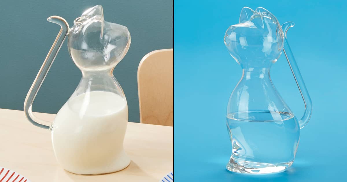 Glass Cat Pitcher | The Green Head