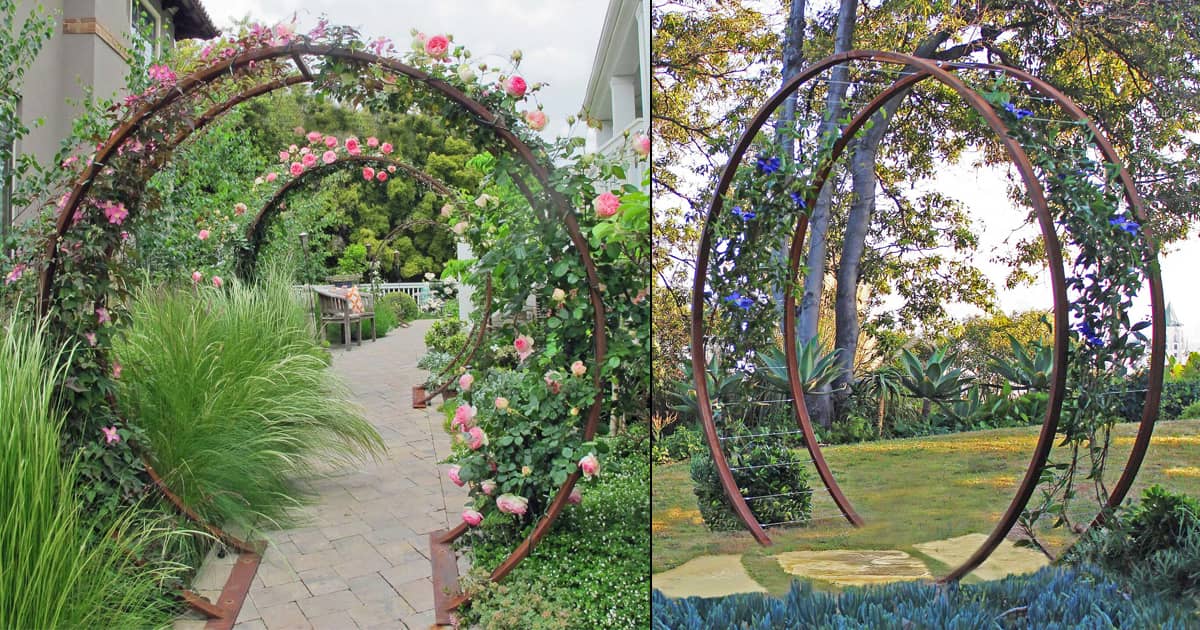 Moon Gate Arbor Moon Gate Garden Arch | Moroccan Inspired Circular
