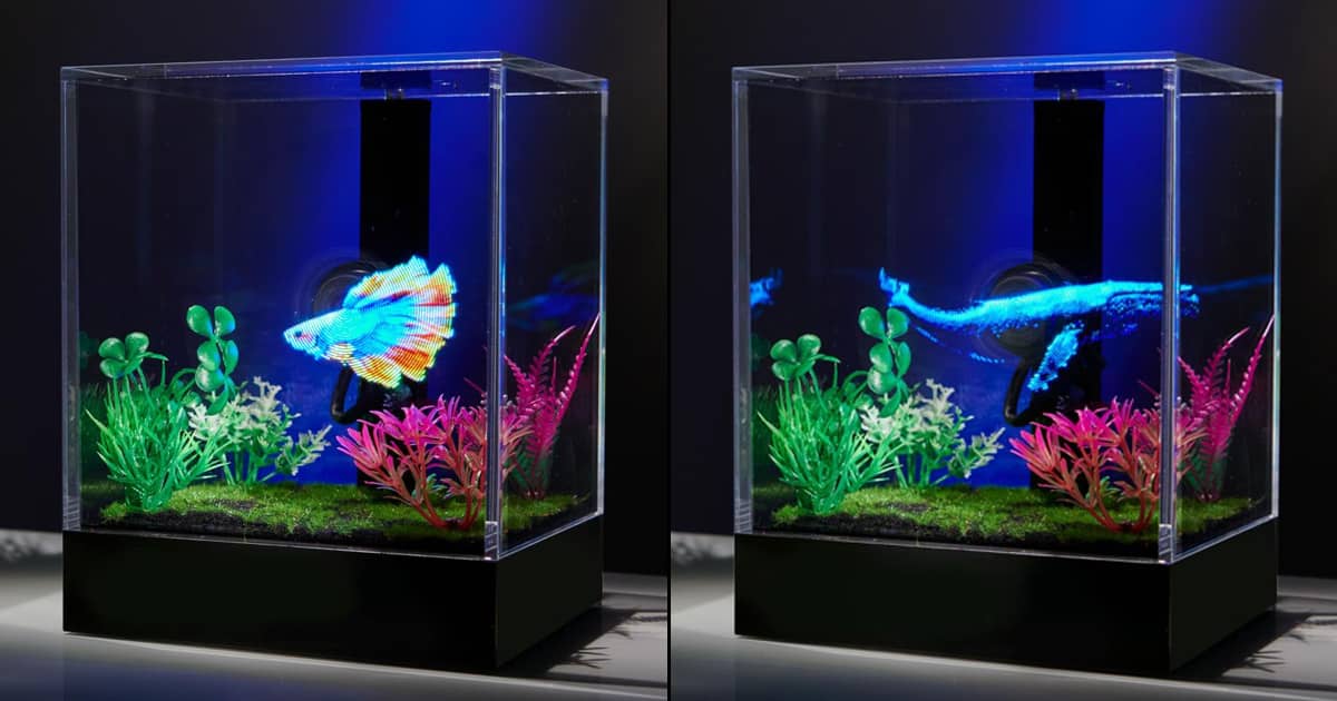 3D Hologram Fish Tank | The Green Head