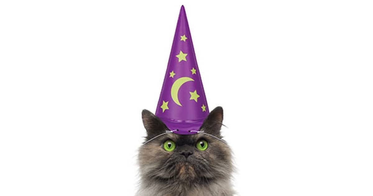 Inflatable Wizard Hat for Cats - Glows in the Dark! | The Green Head