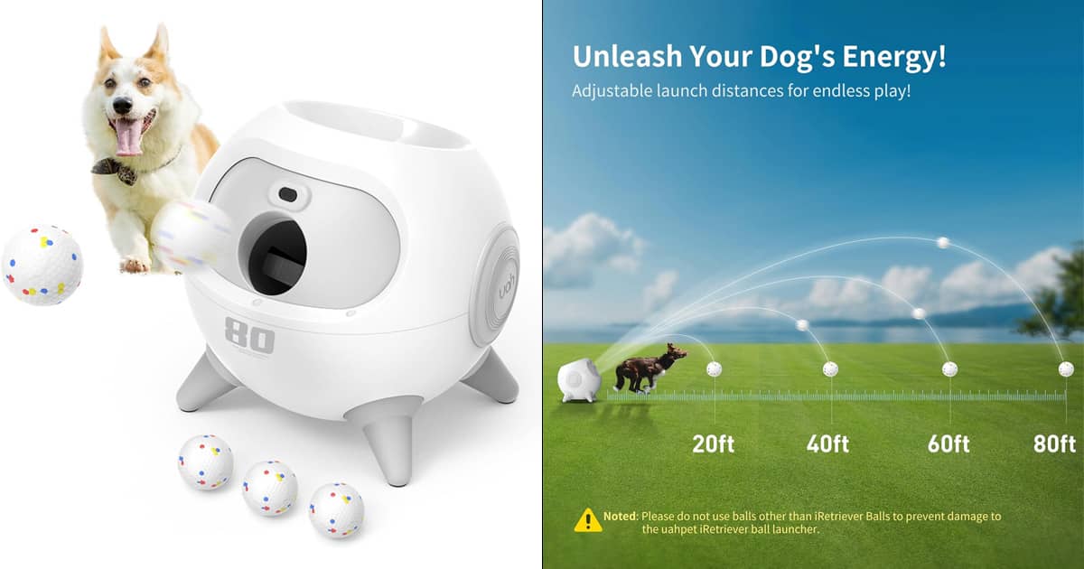 iRetriever - Portable Dog Ball Launcher | The Green Head