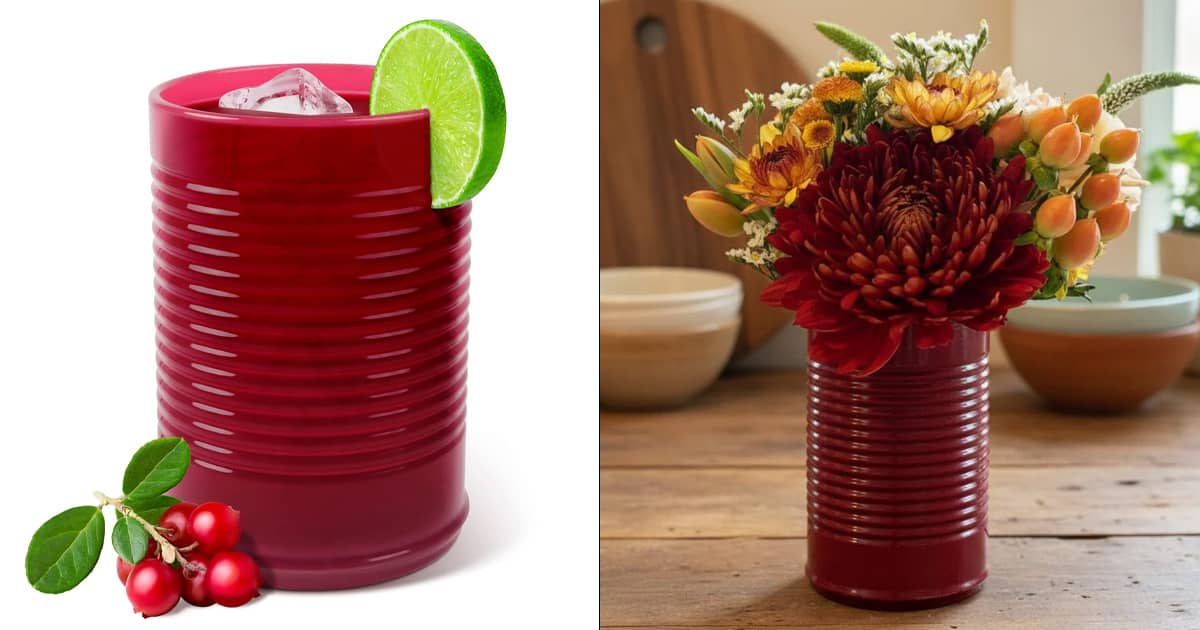 Jellied Cranberry Sauce from a Can-Shaped Silicone Cup | The Green Head