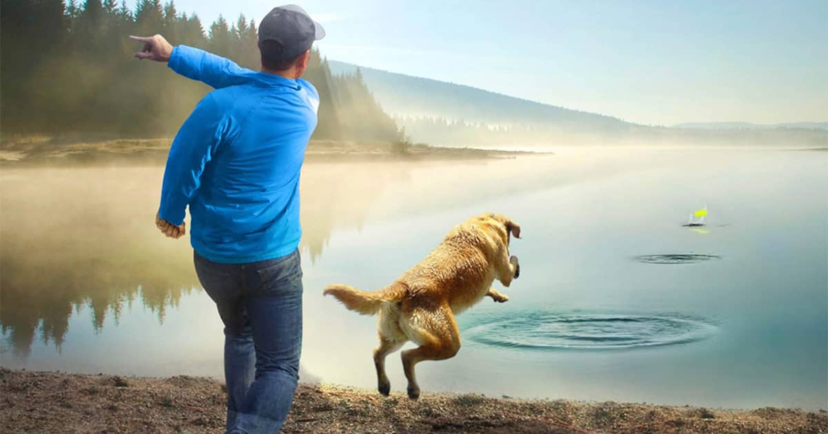 Kurgo Skipping Stones - Floating Dog Fetch Toy | The Green Head